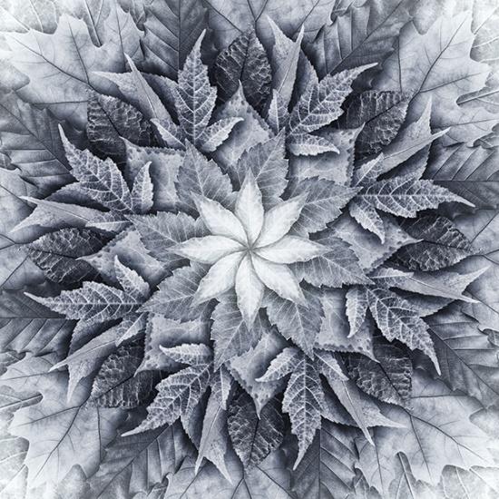 HFF Dream Big Leaf - R4617-483 Fog - Cotton Fabric