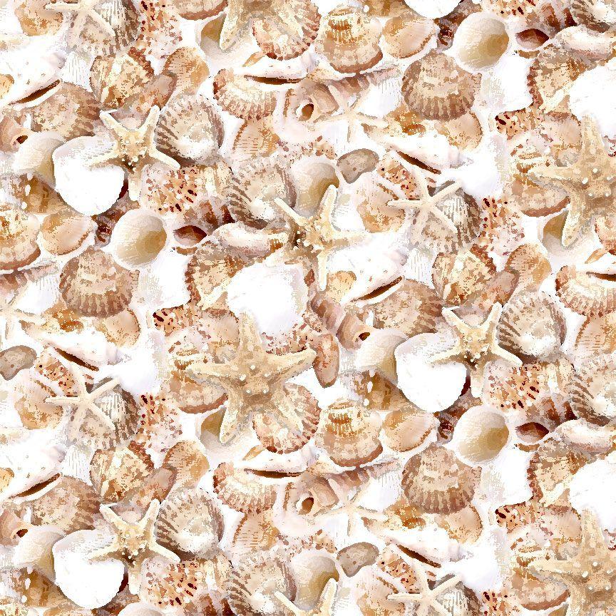 TT Let Your Light Shine Packed Shells - CD3973-SHELL - Cotton Fabric